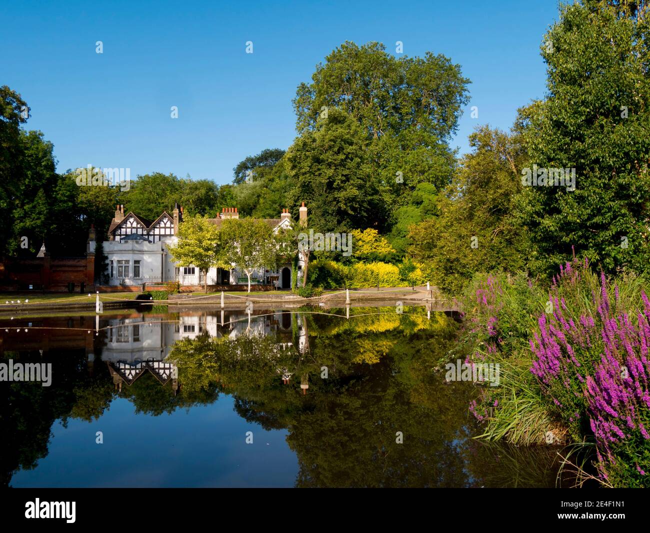 Uk pond suburb hi-res stock photography and images - Alamy
