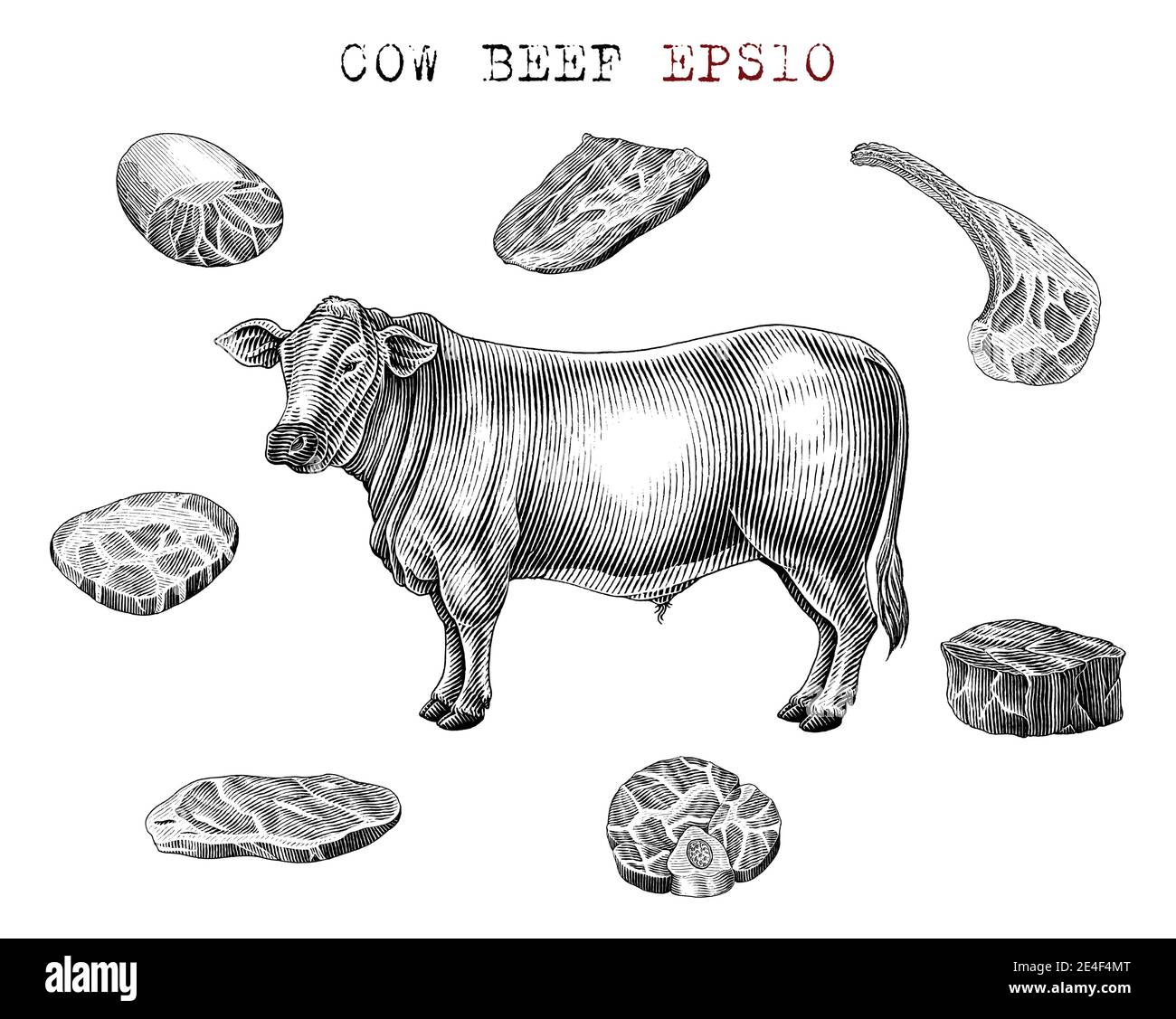 Beef Clip Art