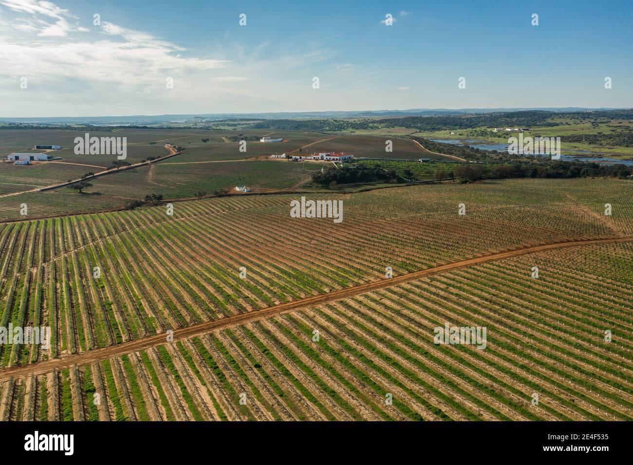 Mediterranean Agriculture
