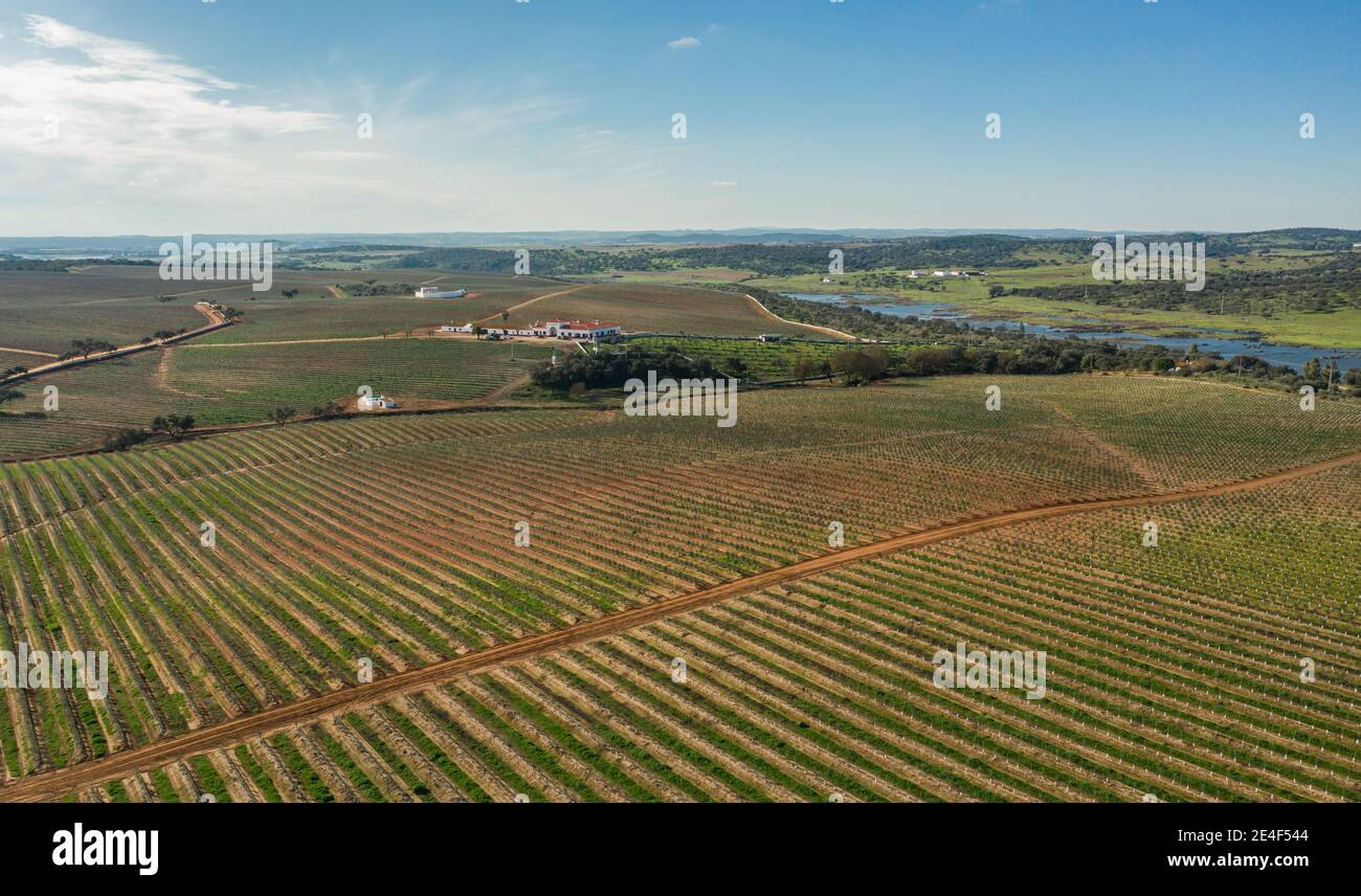 Aerial view of the industrial mediterranean agriculture landscape in ...
