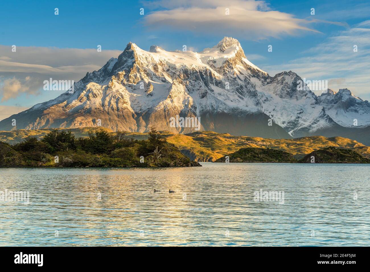 Landscape mountain view of the Torres del Paine national park ...
