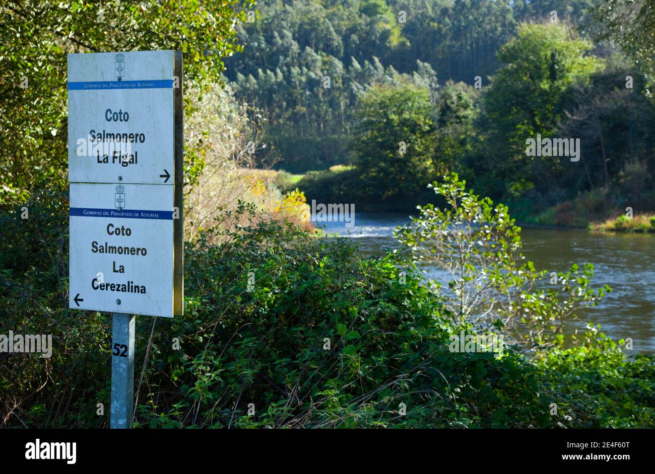 Río Nalón,,tramo bajo alrededor de Pravia, Asturias Stock Photo - Alamy