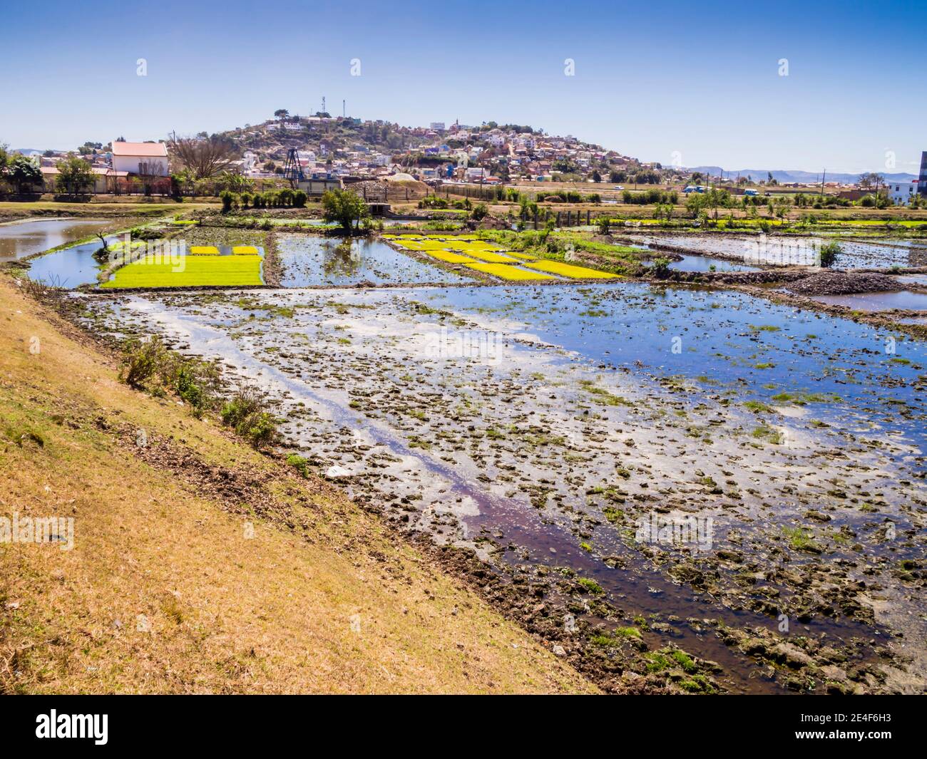 Rice terrace terraced madagascar hi-res stock photography and images ...