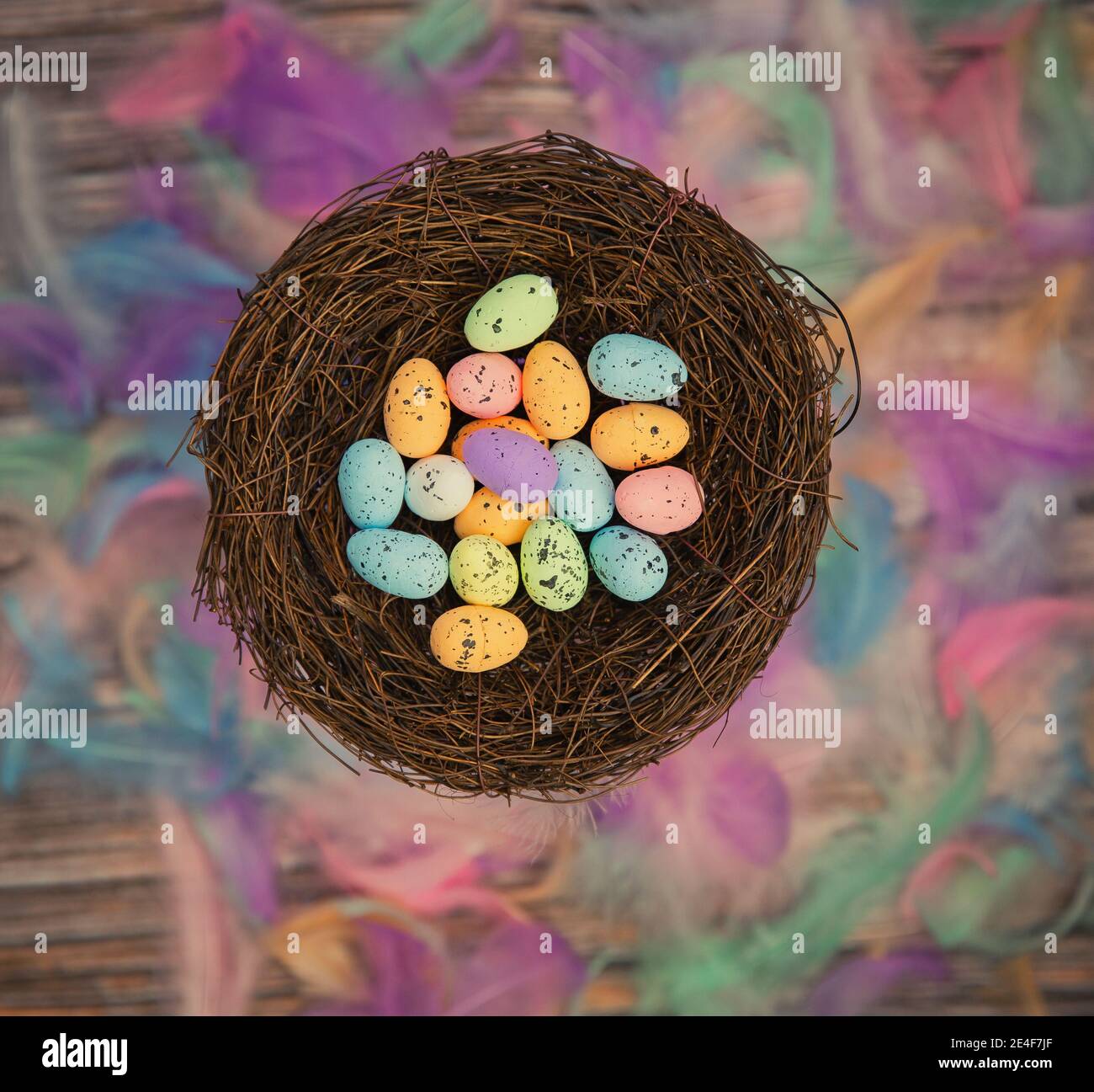 Colorful Easter eggs in bird nest surrounded with pastel colored feathers and wooden cubes with ...