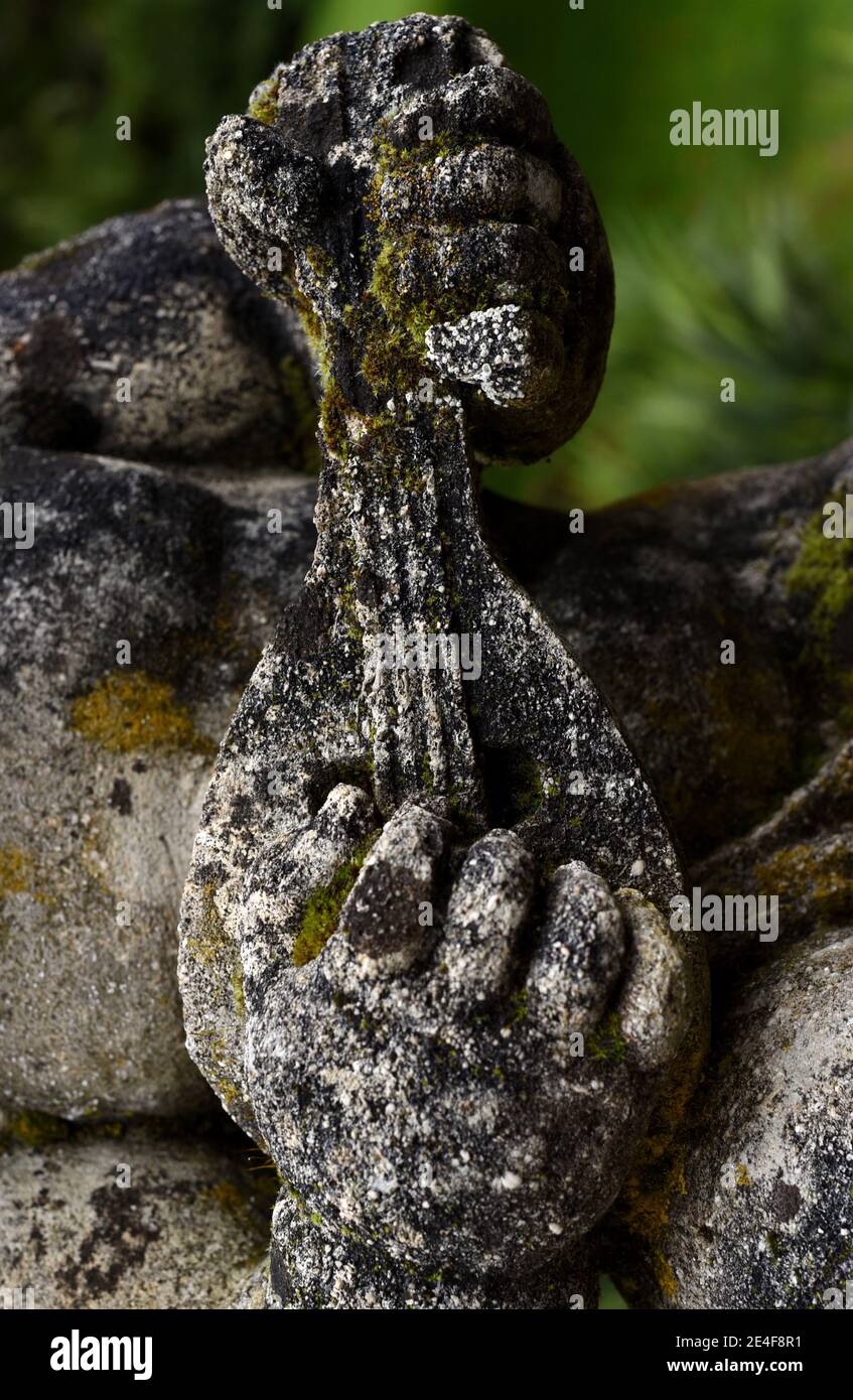 Instrument string instrument hi-res stock photography and images - Alamy