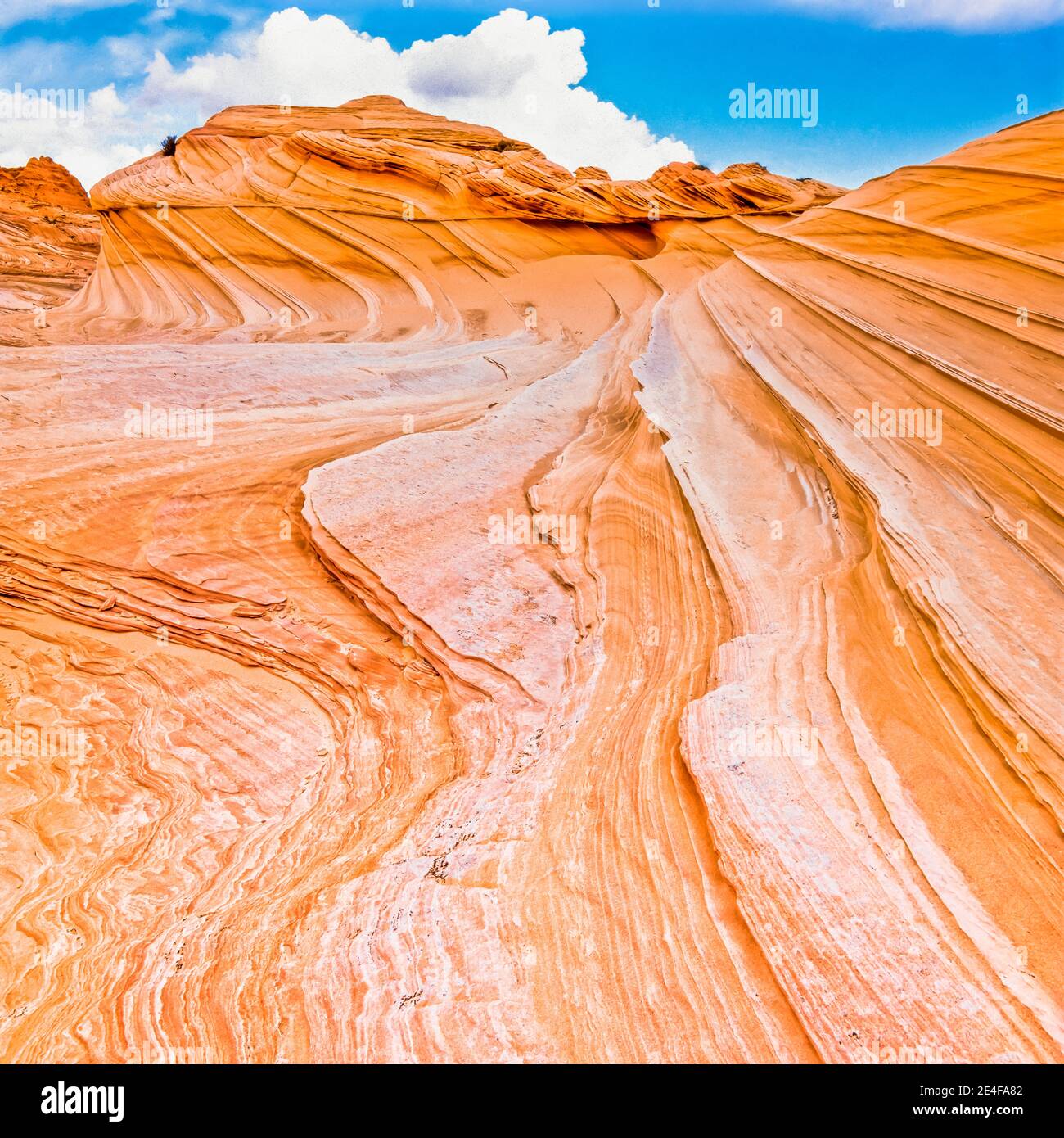 sandstone wave formation in the paria canyon-vermillion cliffs ...