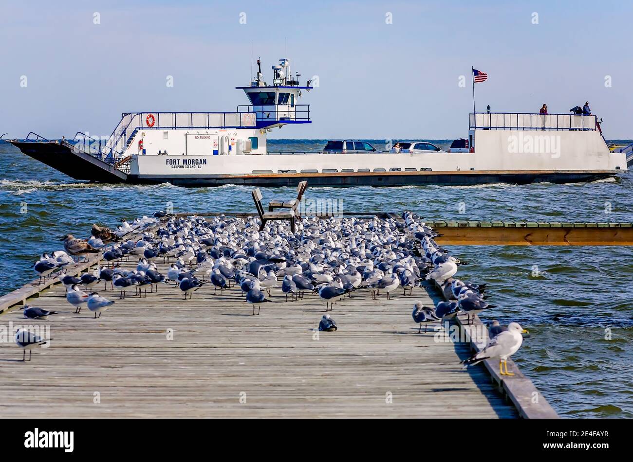 Dauphin island ferry hi-res stock photography and images - Alamy