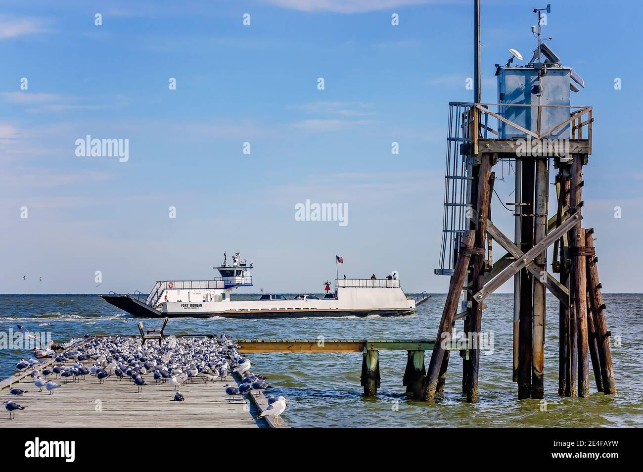 The Mobile Bay Ferry passes a flock of seagulls on a fishing pier as ...