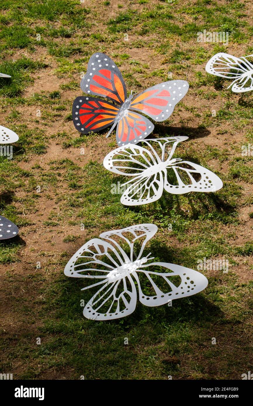 Fake butterflies hi-res stock photography and images - Alamy
