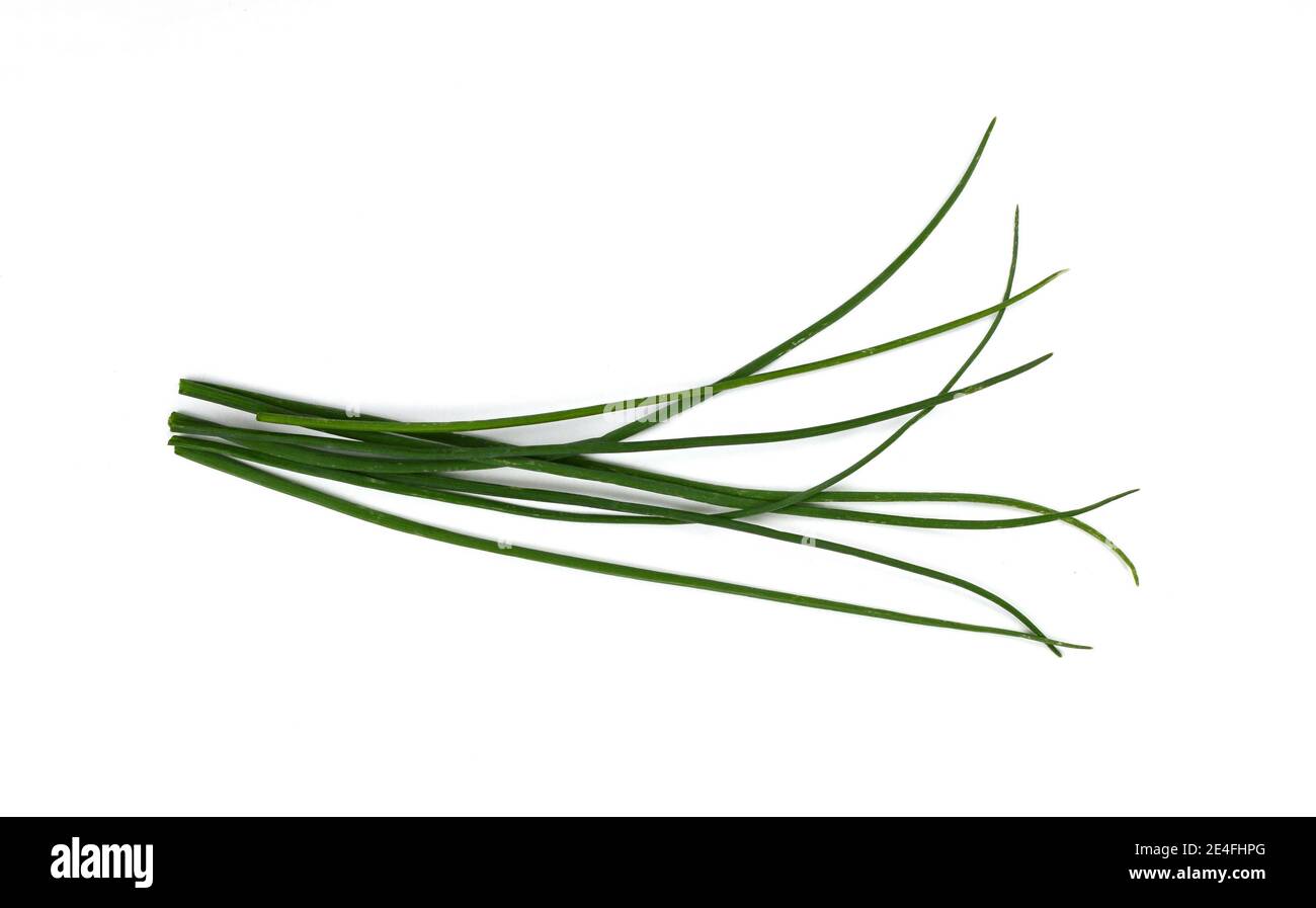 Chopped chives isolated. Fresh green chopped chives isolated on white ...