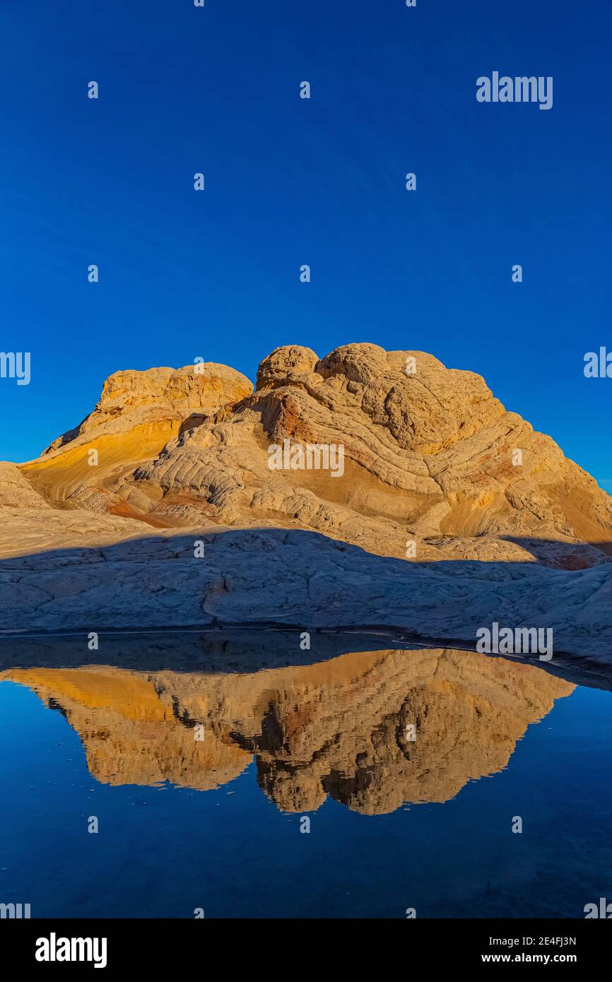 Reflections of Navajo Sandstone on a pond at White Pocket, Vermilion ...