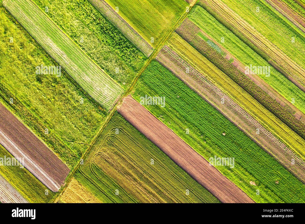 Aerial view of green agricultural fields in spring with fresh ...