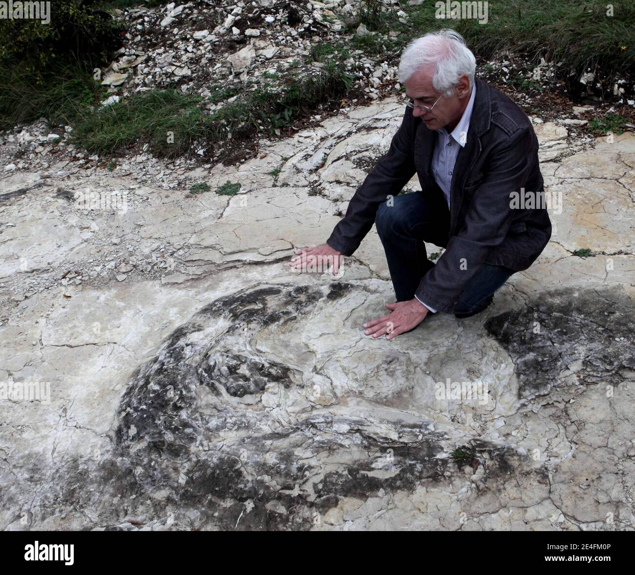 Sauropod footprints hi-res stock photography and images - Alamy