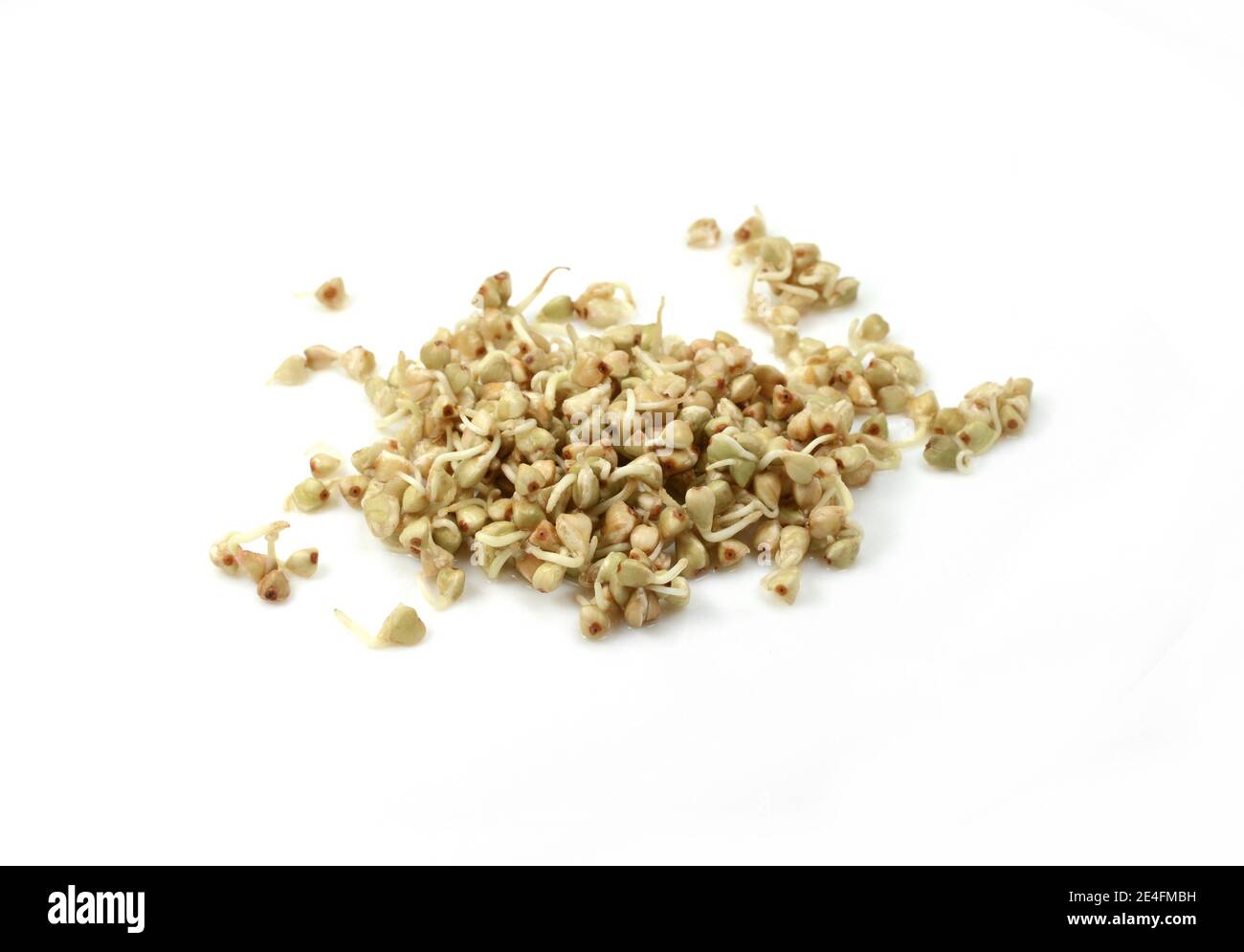 Buckwheat sprouts isolated on white background. Germinated buckwheat ...