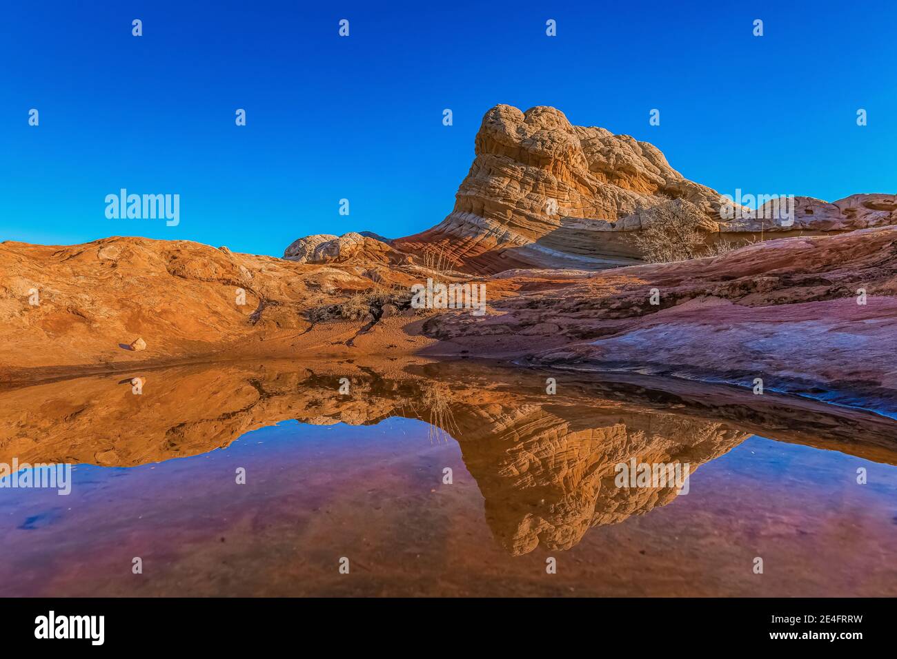 Reflections of Navajo Sandstone on a pond at White Pocket, Vermilion ...