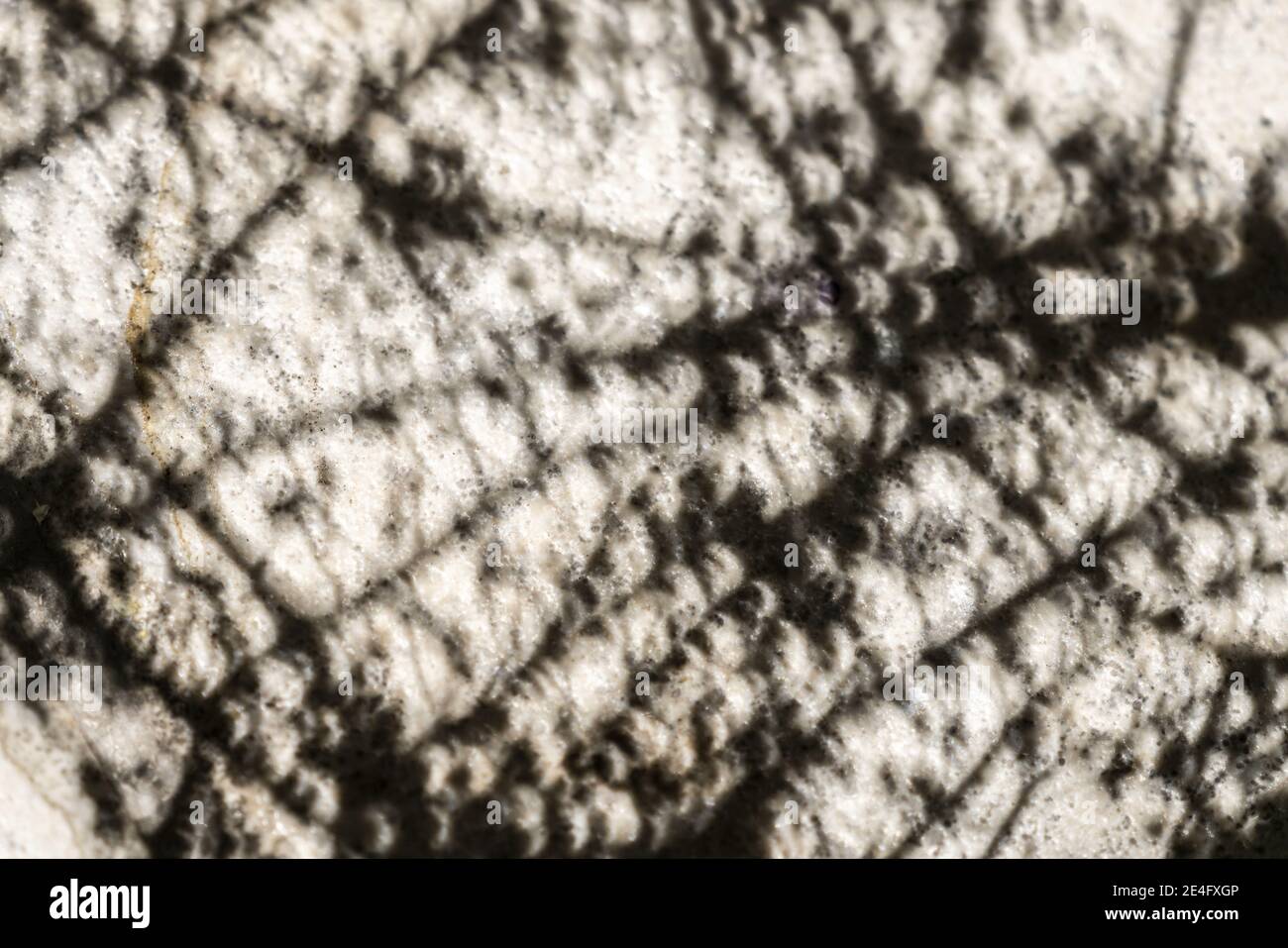 A Solar Eclipse shading natural pattern during last Partial Solar ...