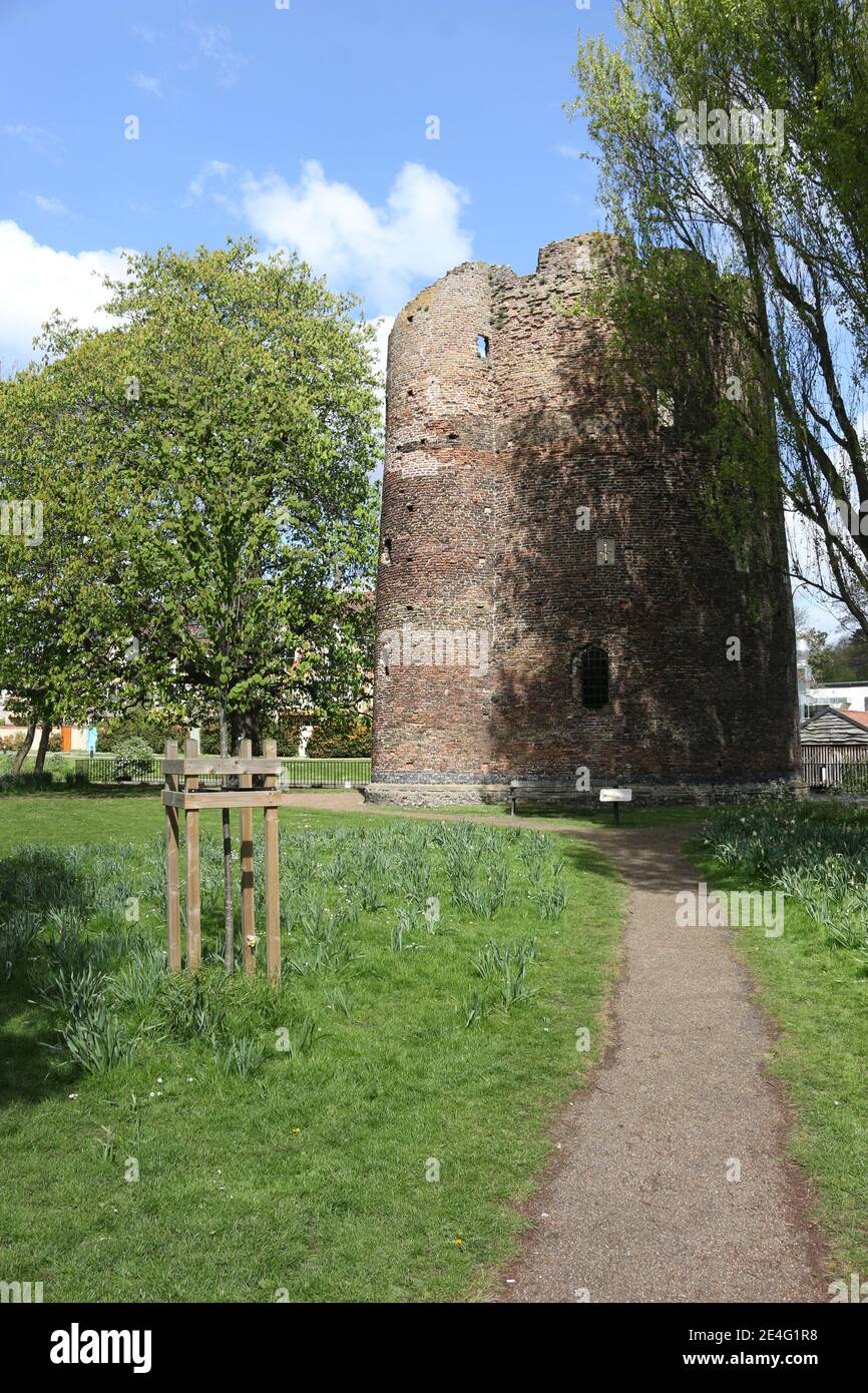 Norwich cow tower artillery blockhouse in a public park with trees ...