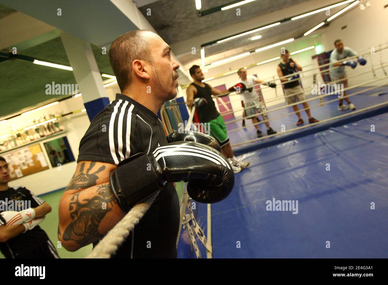 Rencontre avec Fabrice Benichou (Champion du monde poids super coqs IBF ...