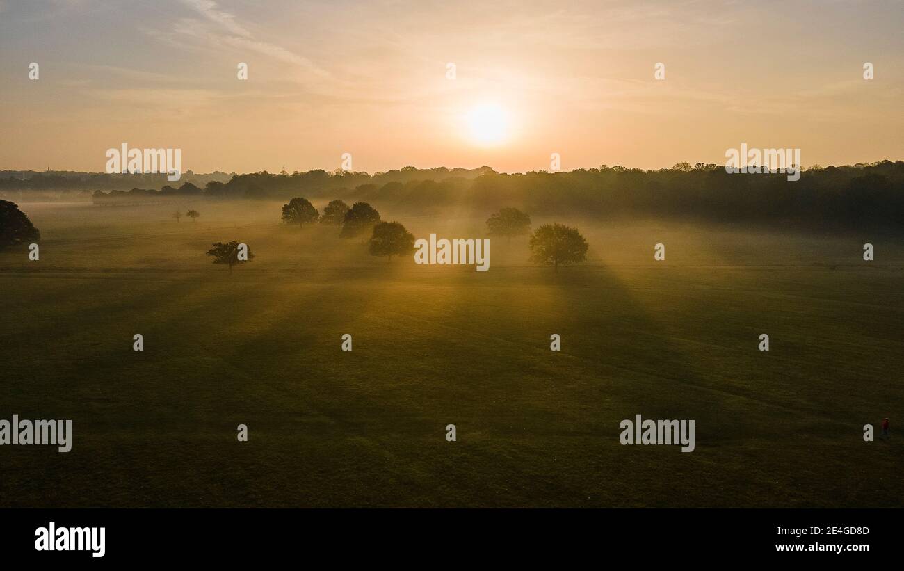 Richmond Park Sunrise Shadows Stock Photo - Alamy