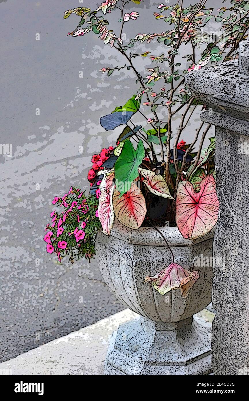 flower plant abstract Stock Photo - Alamy