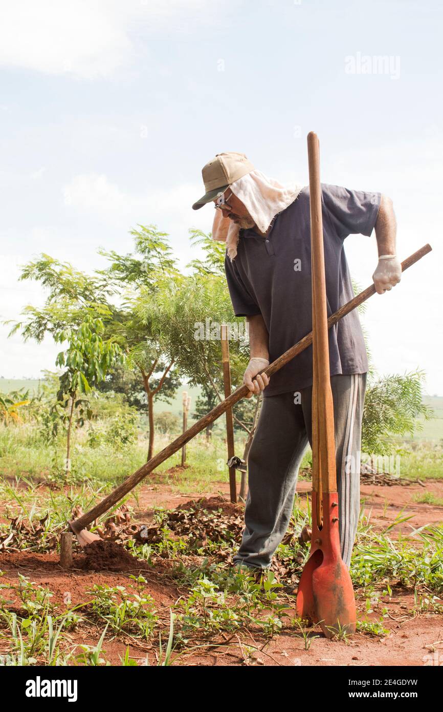 Ibitinga / Sao Paulo / Brazil - 01 23 2020: Caucasing man working hard ...