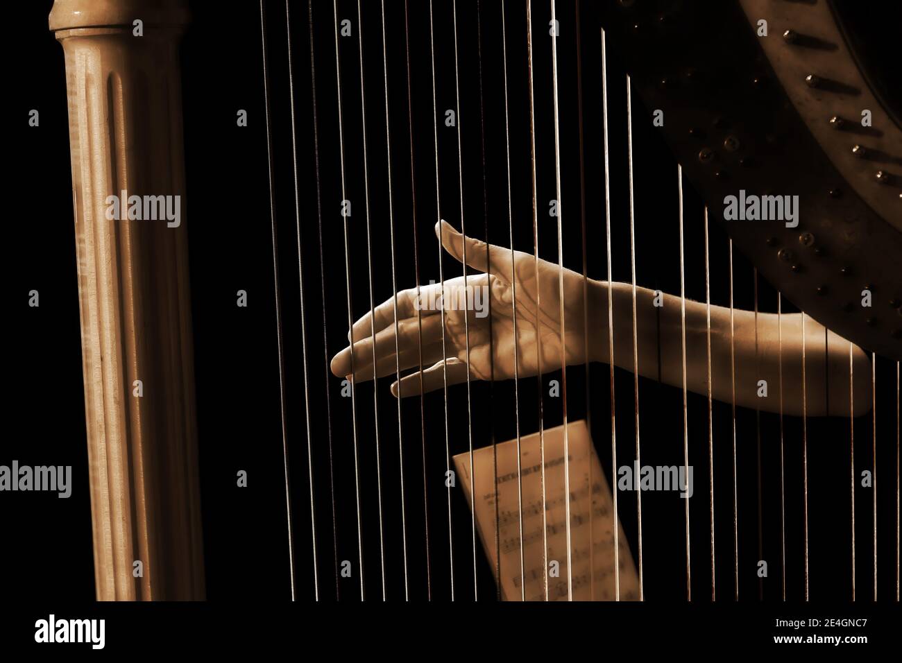 The musician tweaks the harp. Harp player. Classical musician harpist ...