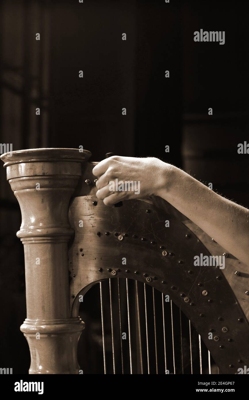 The musician tweaks the harp. Harp player. Classical musician harpist ...