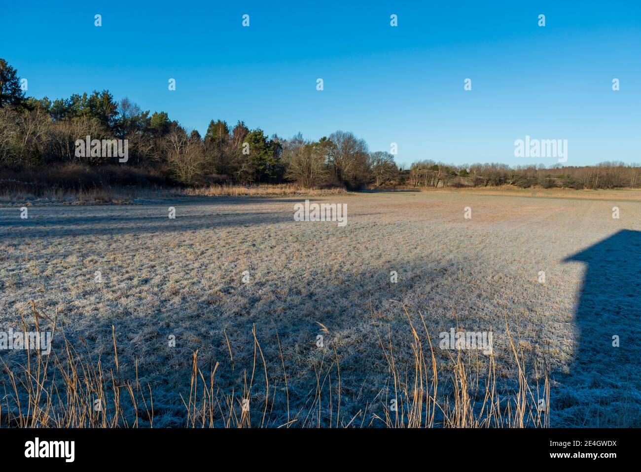 Sweden in cold winter Stock Photo - Alamy