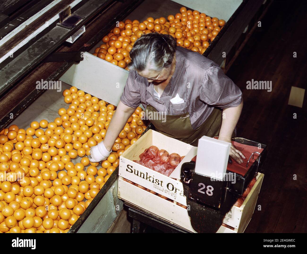 Orange packing at redlands hi-res stock photography and images - Alamy
