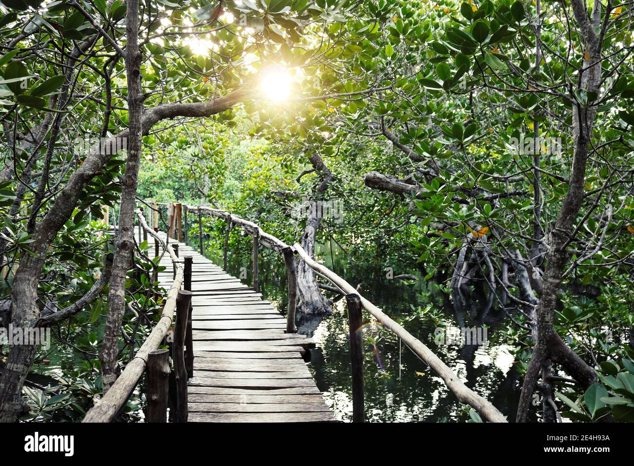 Wooden boardwalk through the Mangroves of Mida Creek, Kenya Stock Photo ...