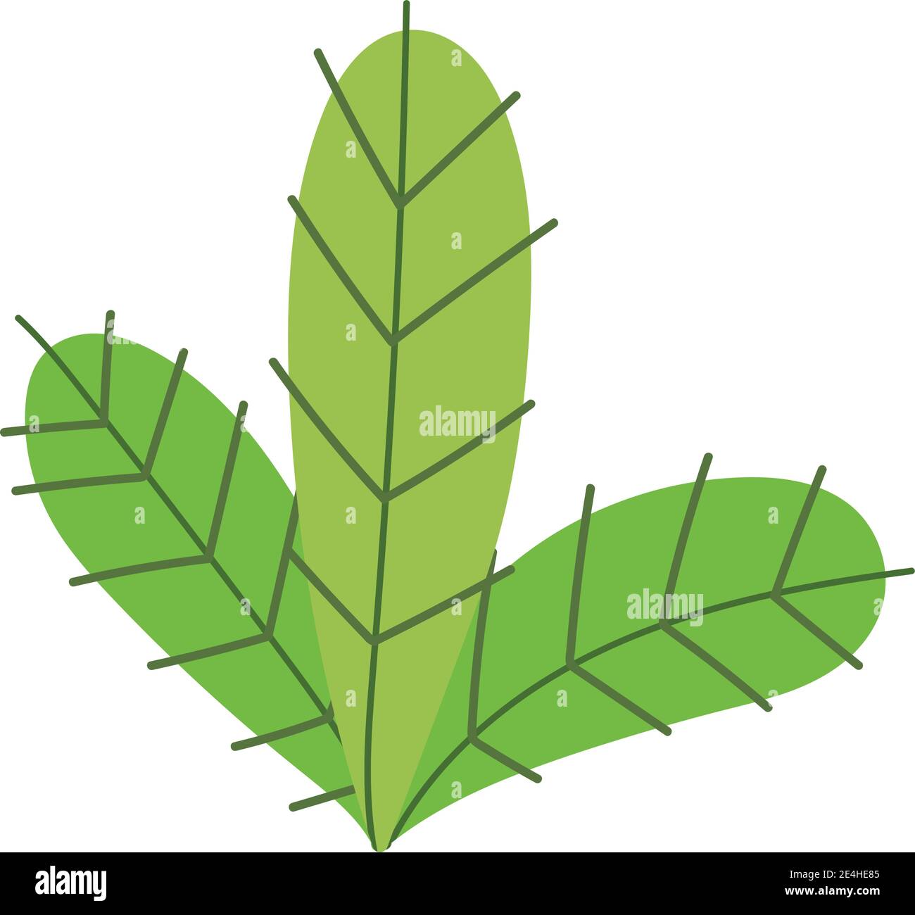 plant leaves nature cartoon icon isolated design vector illustration ...