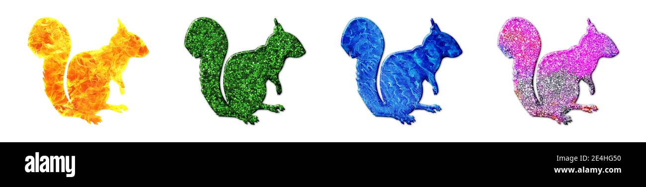 Illustration of a little squirrel in four different colors on a white ...