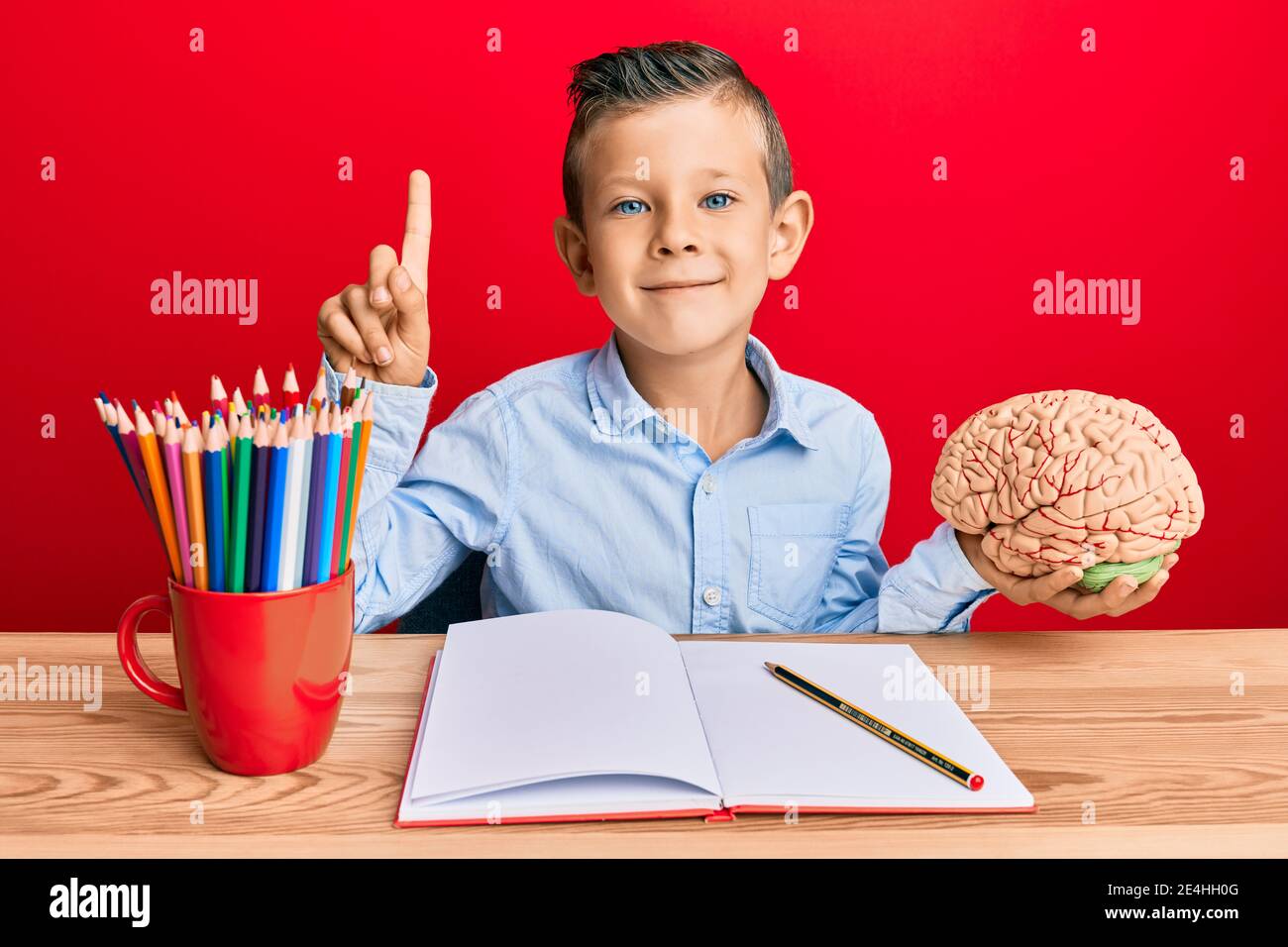 Adorable caucasian kid holding brain while studying for school smiling ...