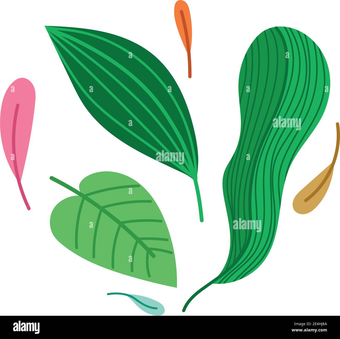 foliage nature leaves ecological cartoon vector illustration Stock ...