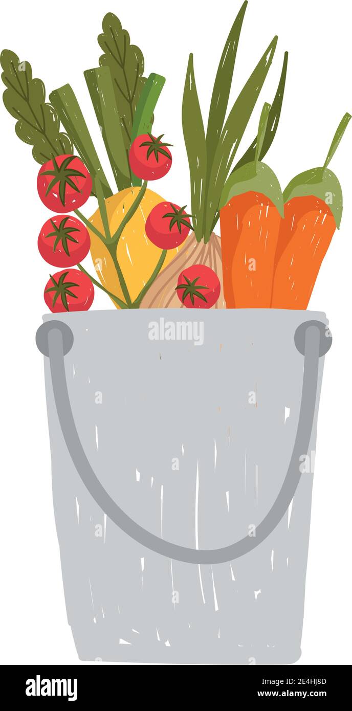 eat local fresh food bucket with vegetables vector illustration Stock ...