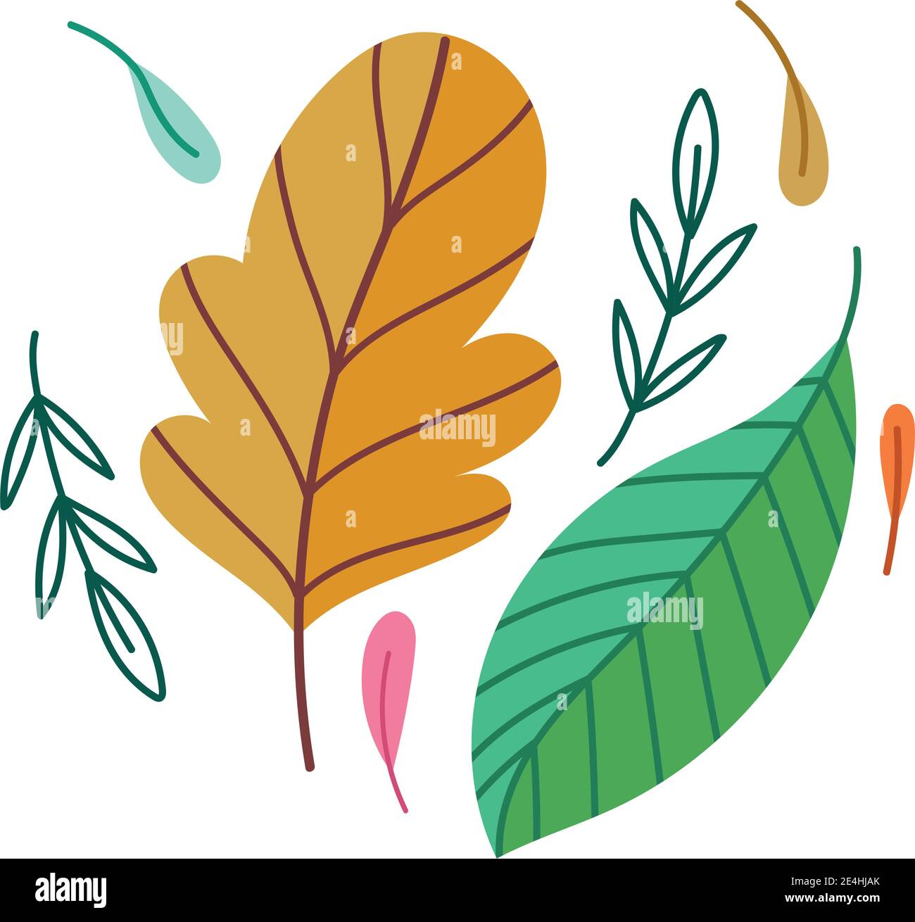 leaves foliage ecological and nature foliage cartoon vector ...