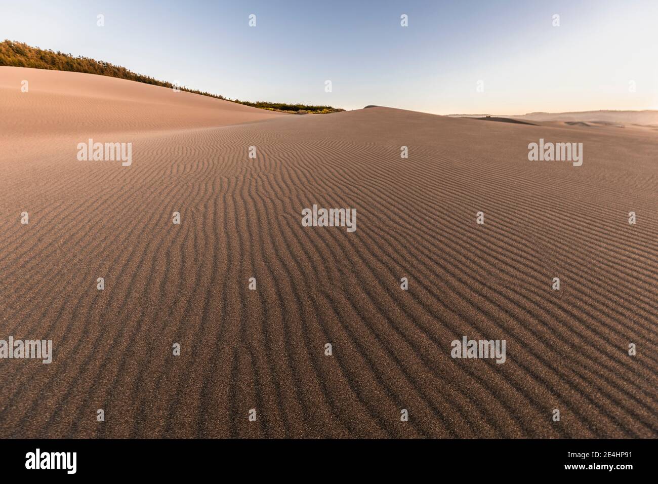 Sand dunes generating lines and patterns on the sandy ground. An awe ...
