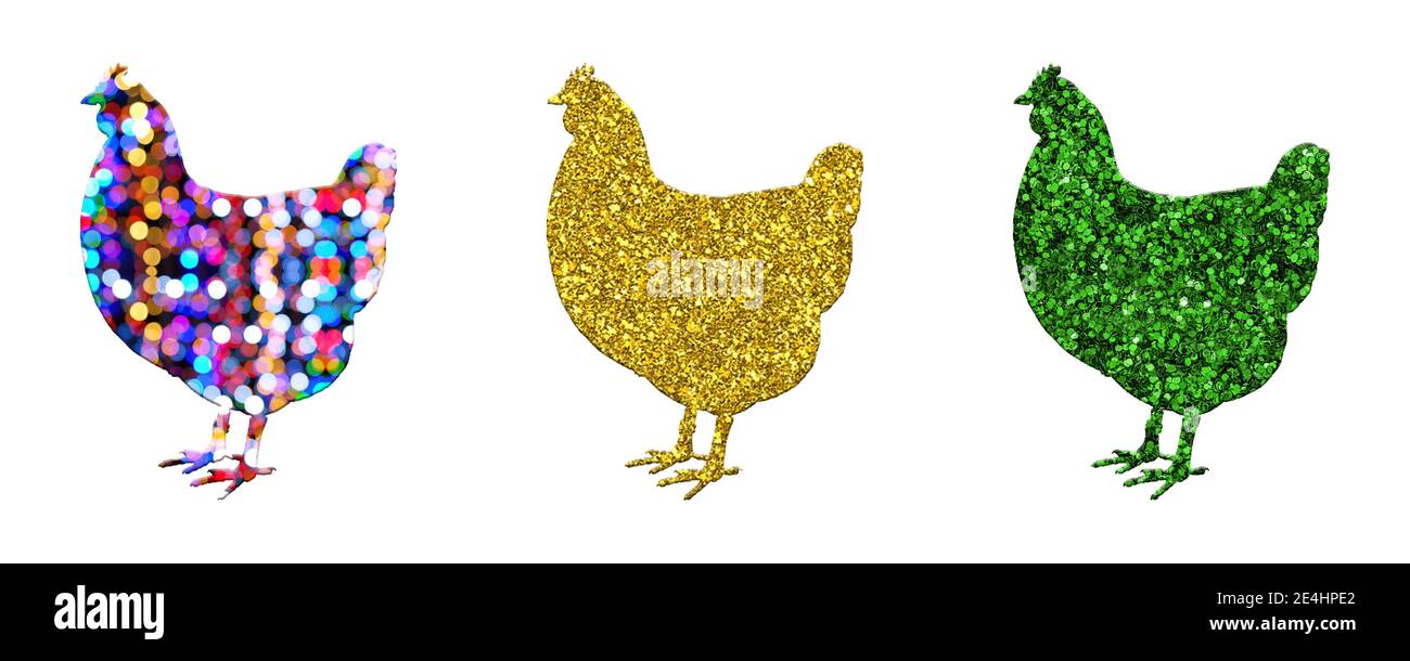 An illustration of a hen in different colors and patterns on a white ...