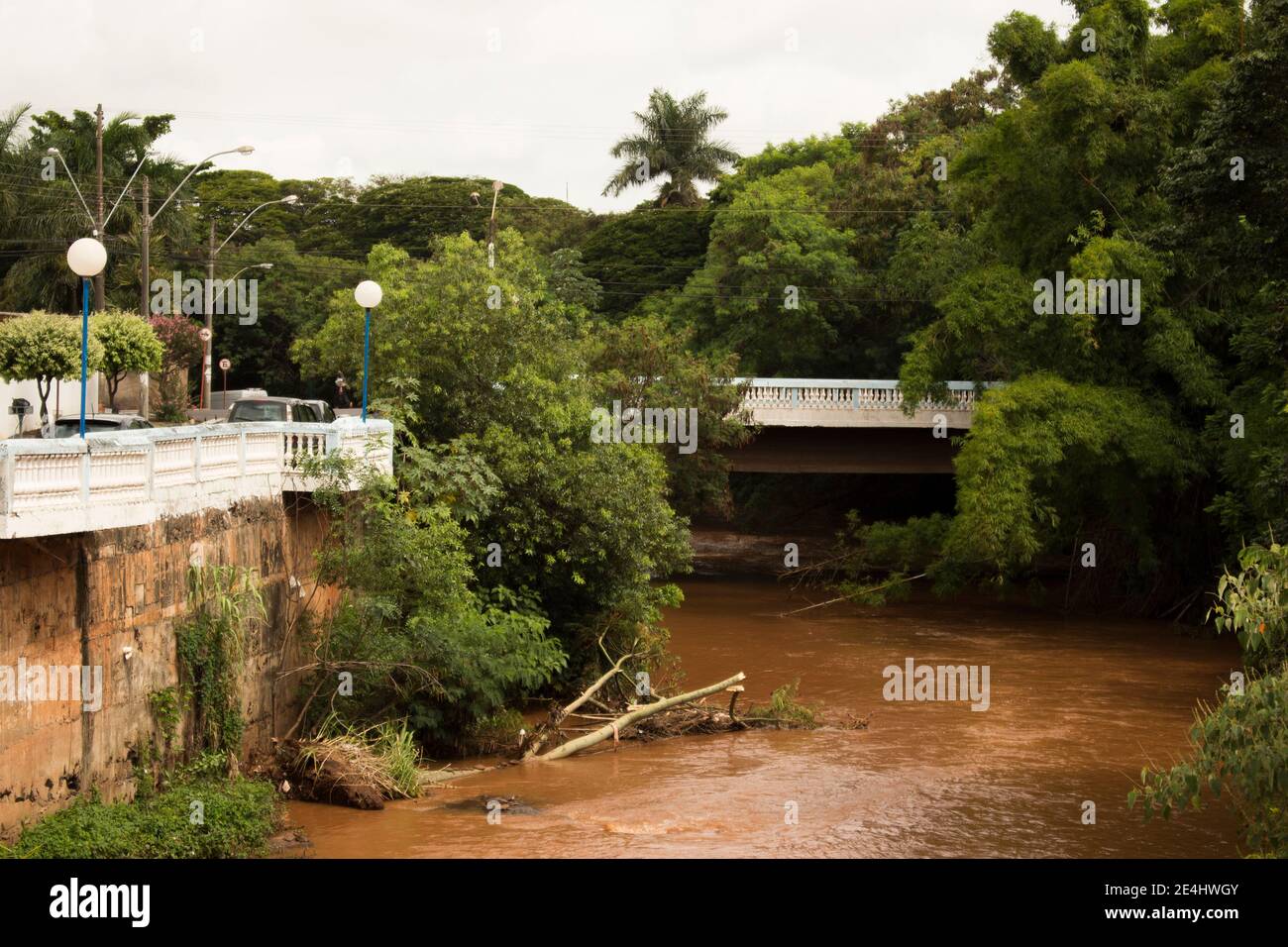 How savage wild that forest hi-res stock photography and images - Alamy