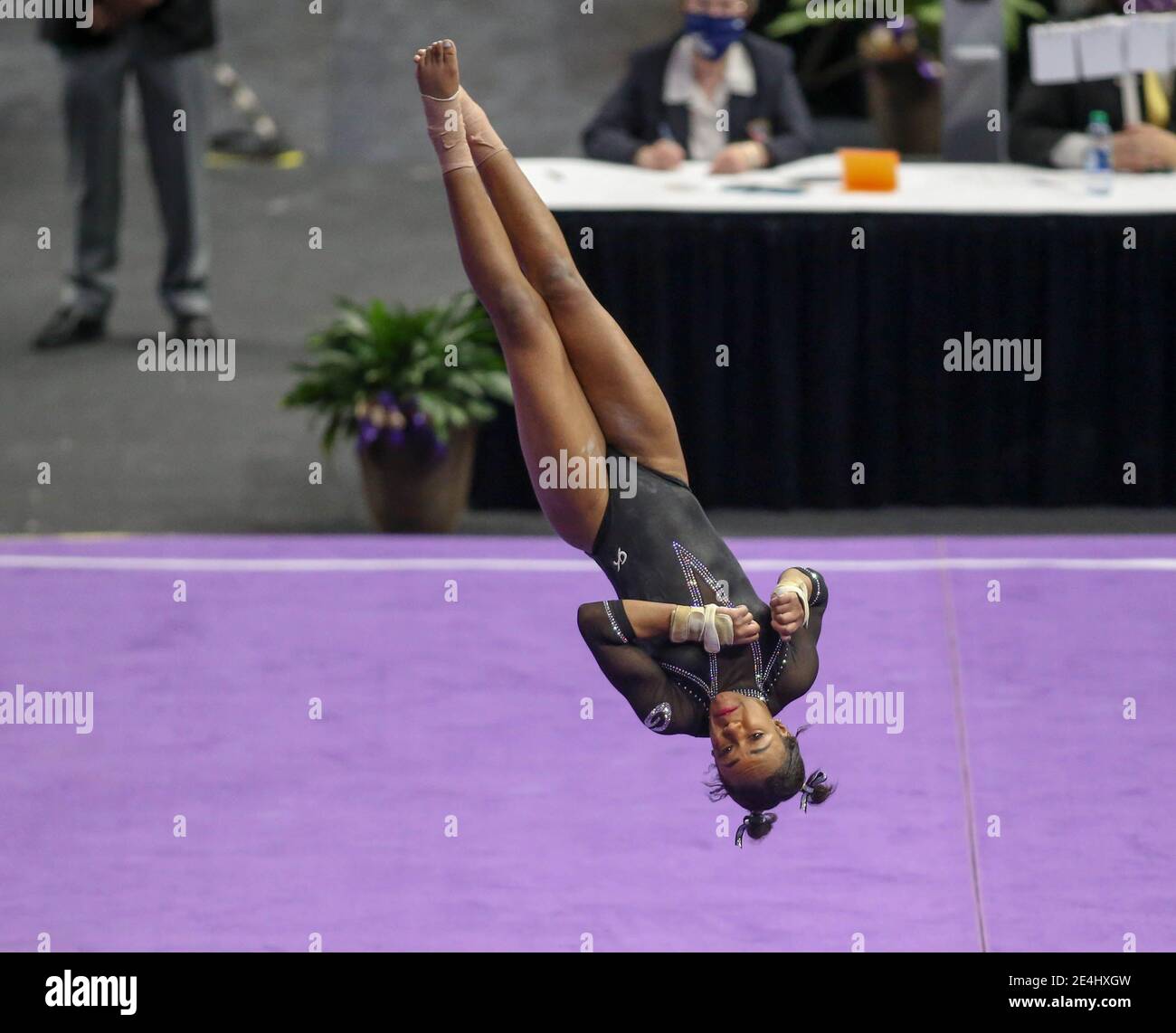 Flips Usa Gymnastics