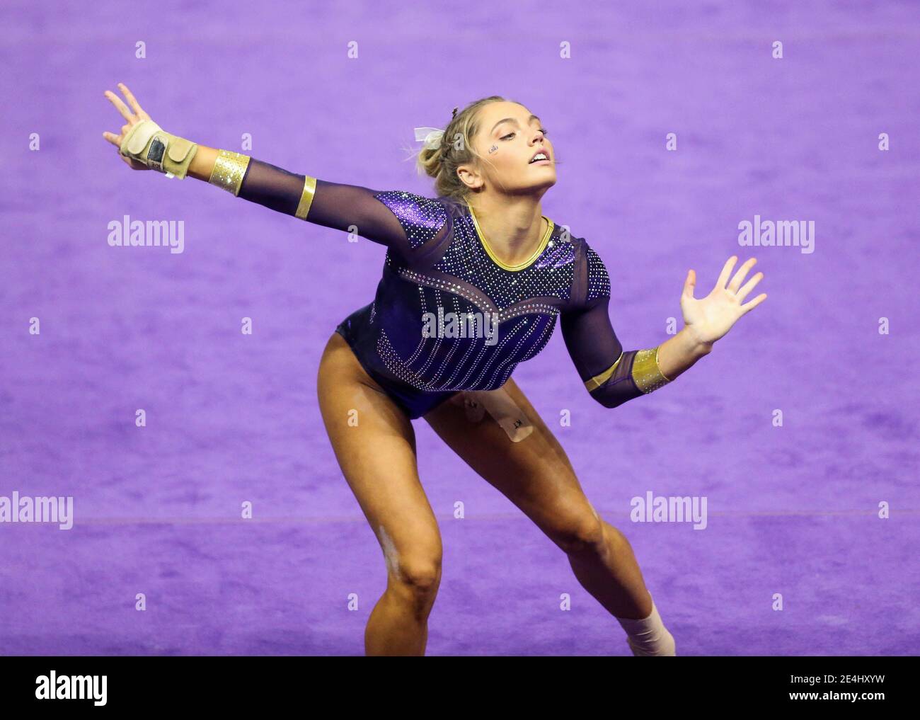 Georgia gymdogs hi-res stock photography and images - Alamy