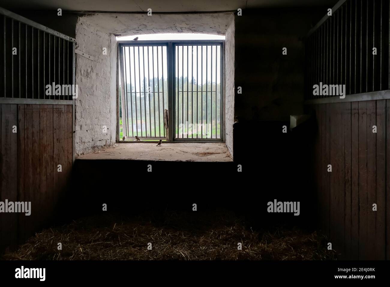 Empty horse hi-res stock photography and images - Alamy