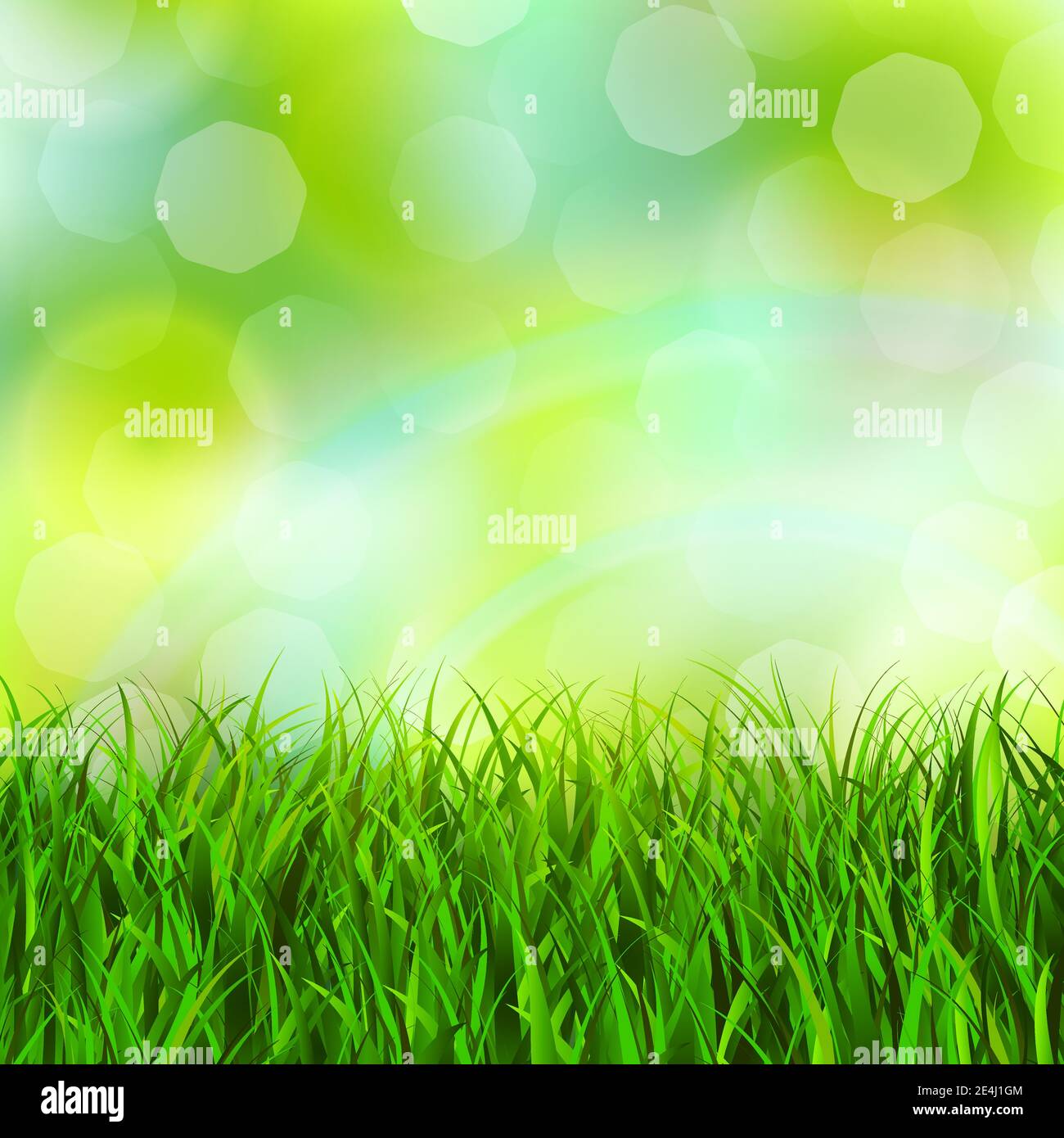 Abstract green grass field background vector illustration Stock Vector ...