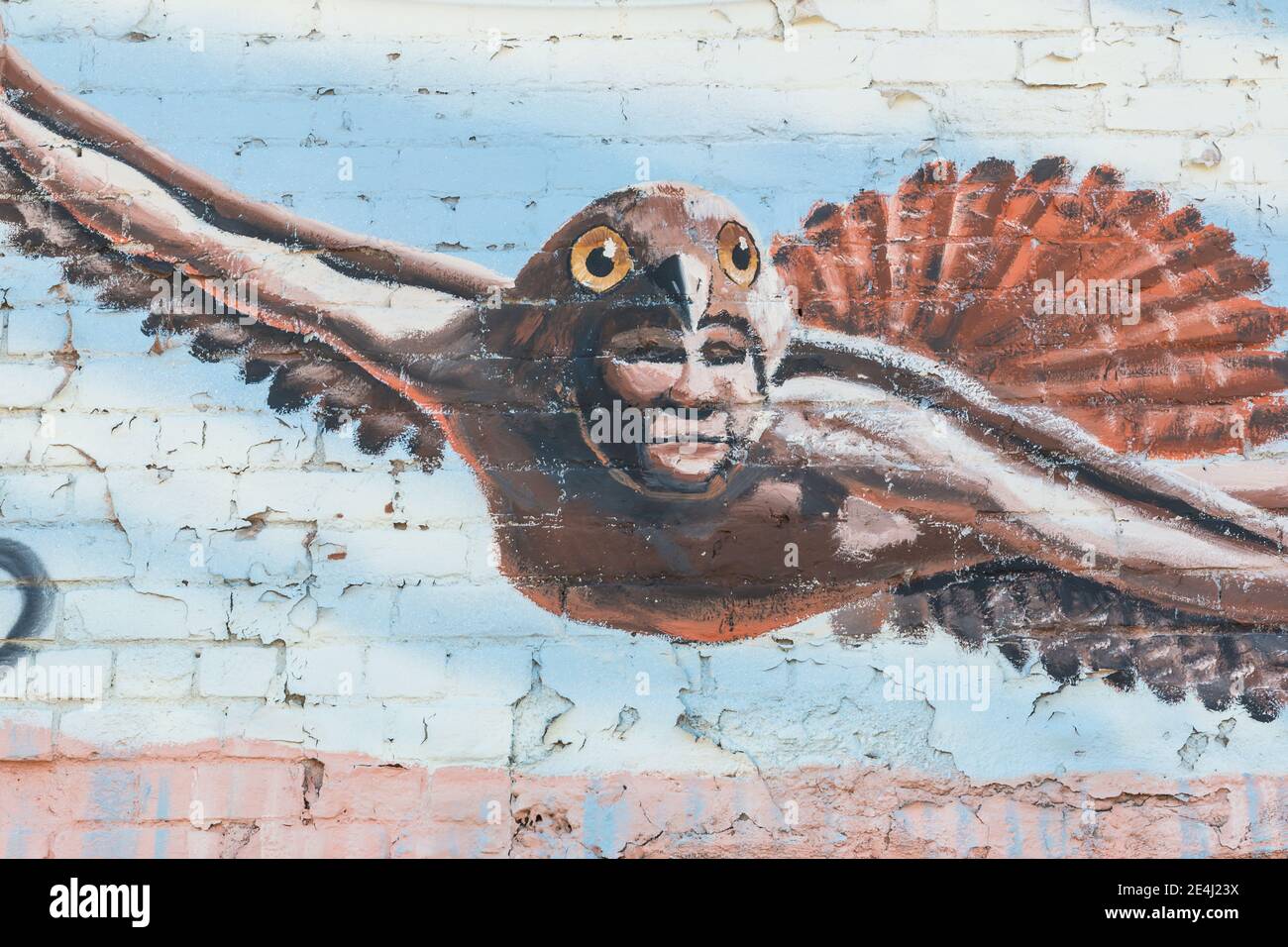 Human Hawk Painting, Part of The Borderlands Mural, Tucson, Arizona ...