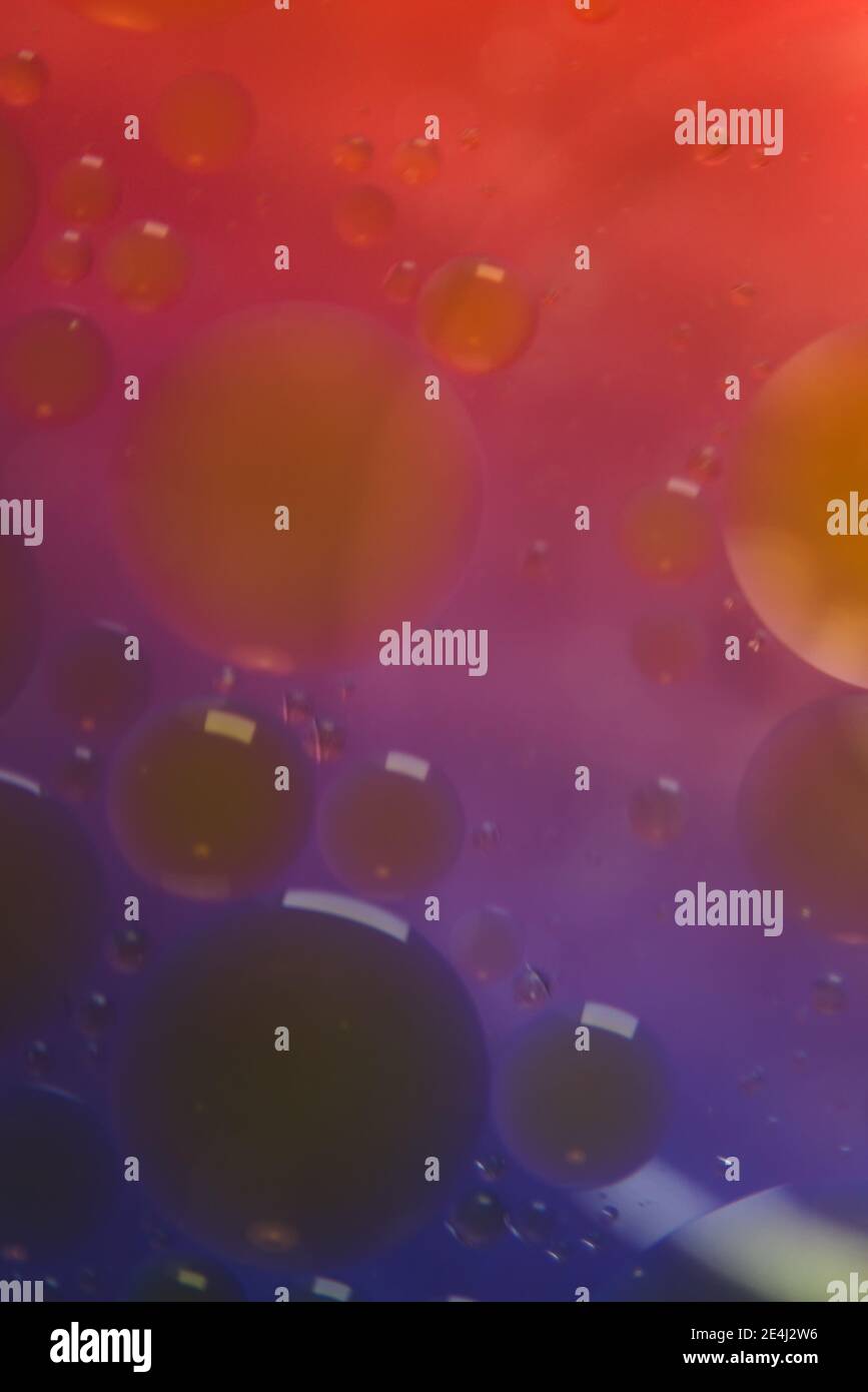 Blurred soft focus of oil spheres in water with color transition from ...