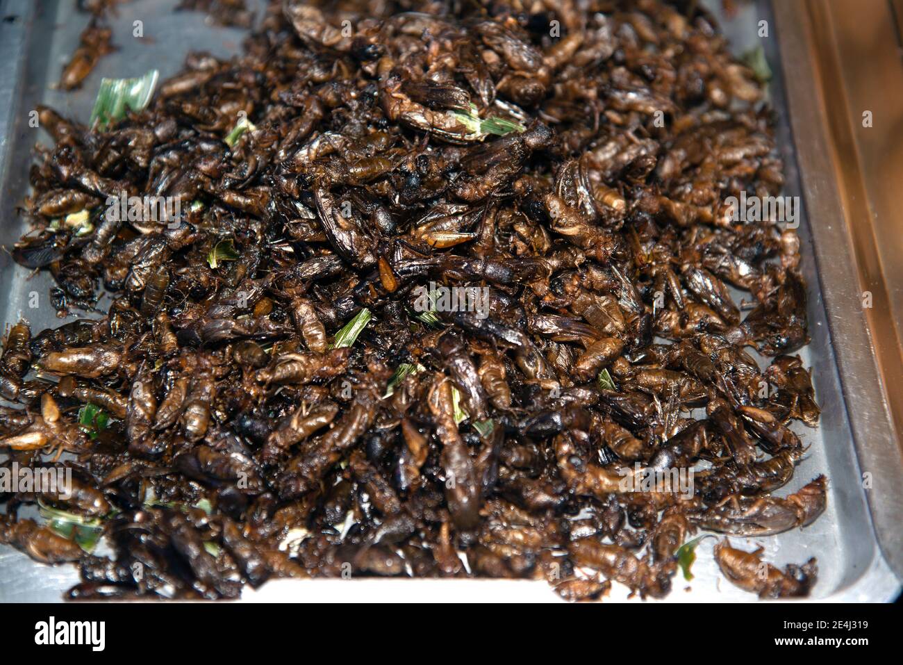 Crickets, Heaps of Crickets Deep Fried with Salt on Trays, Jumping ...
