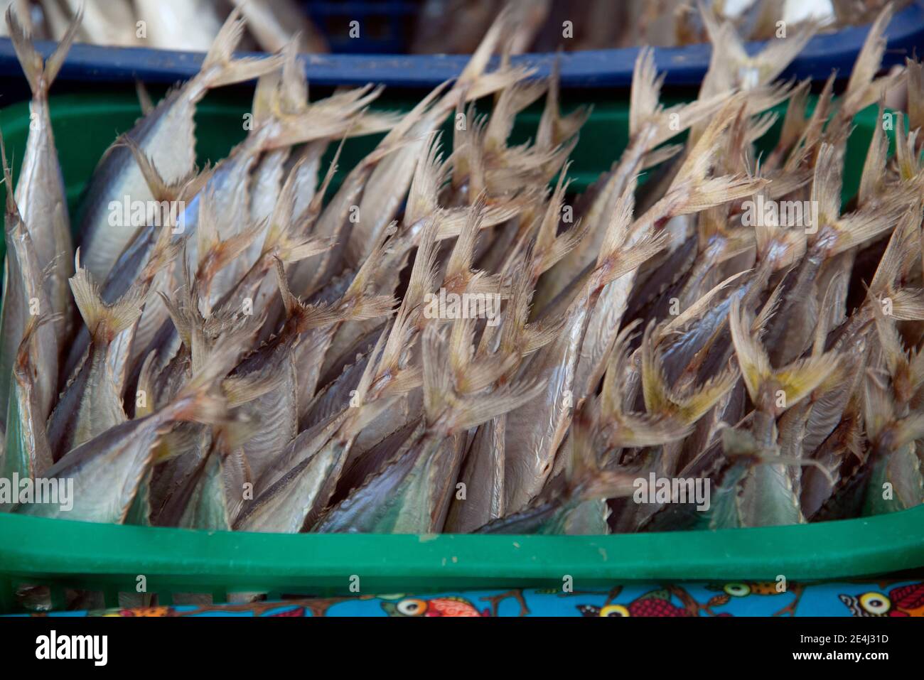 Dried salted fish stall in Thailand Stock Photo - Alamy