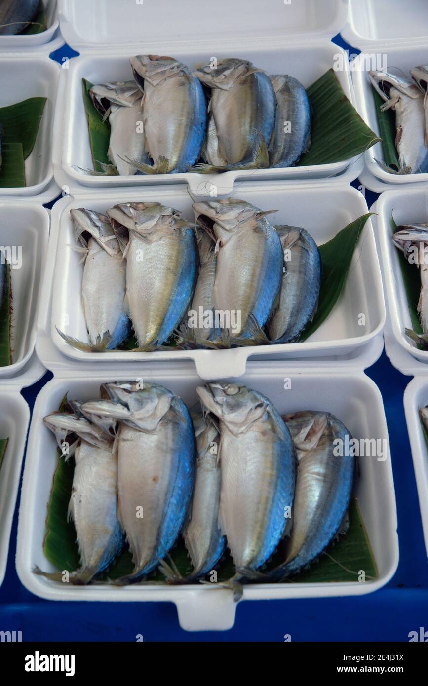 Fresh mackerel in a foam box Sold at a fresh market in Thailand Stock ...