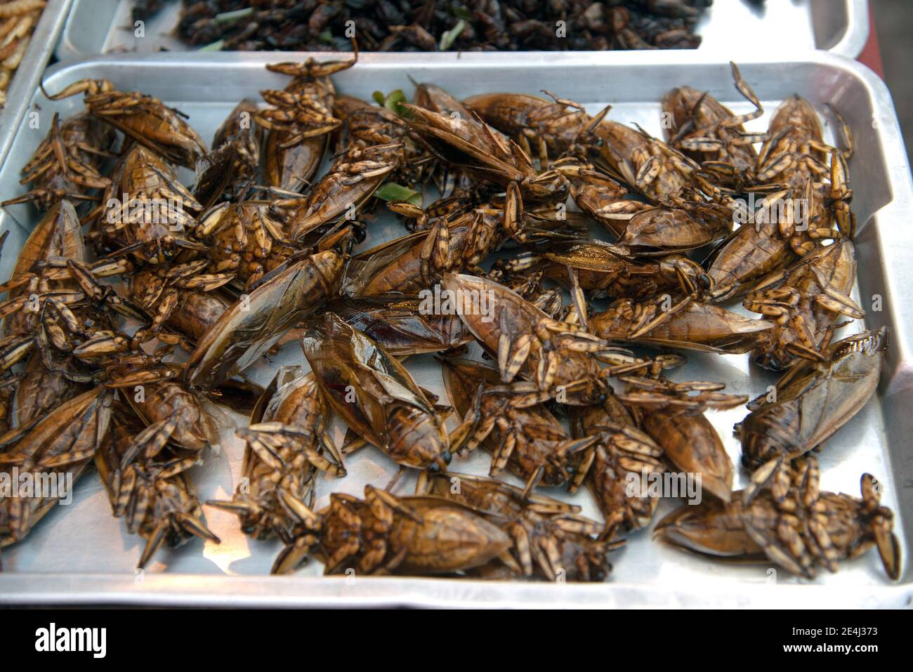 Pimp deep fried with salt on trays for street food in Thailand Stock ...