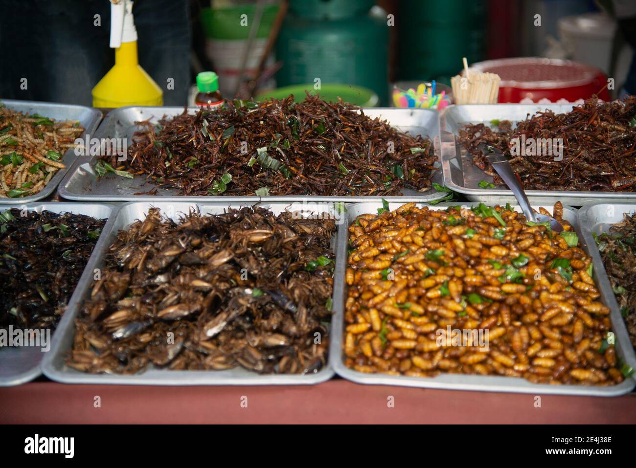Salt-fried insects in food at Thai markets, this type of food is ...
